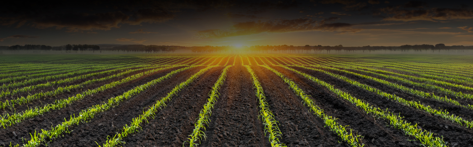 Plastiblends India Limited